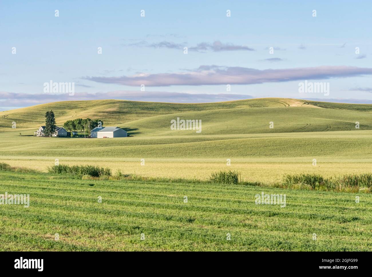 Washington state farm hi-res stock photography and images - Alamy
