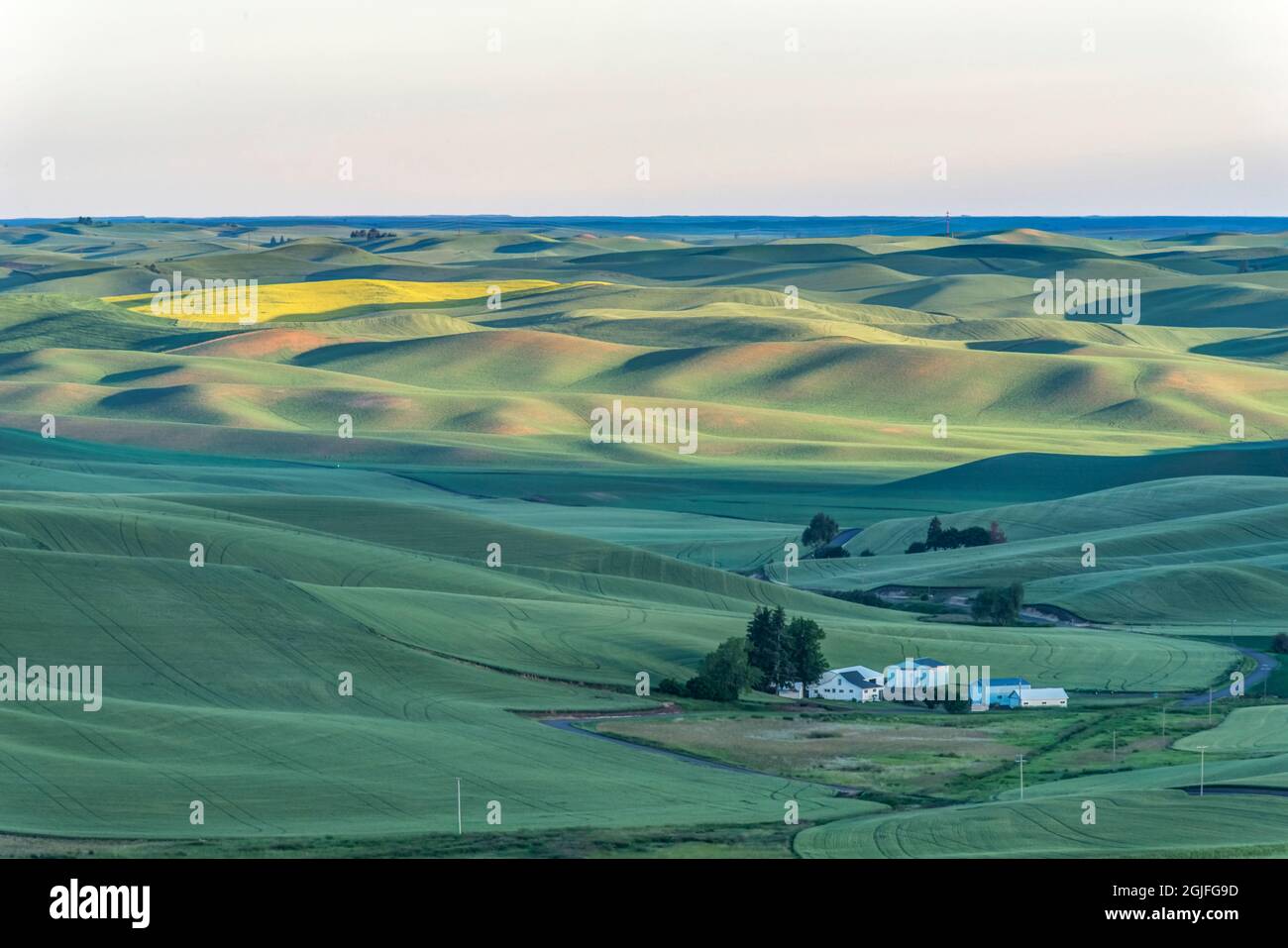 Washington State, Whitman County. Palouse farm fields Stock Photo - Alamy