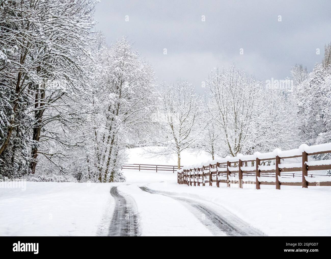 USA, Washington State, Fall City, fresh snow on trees and fence and ...