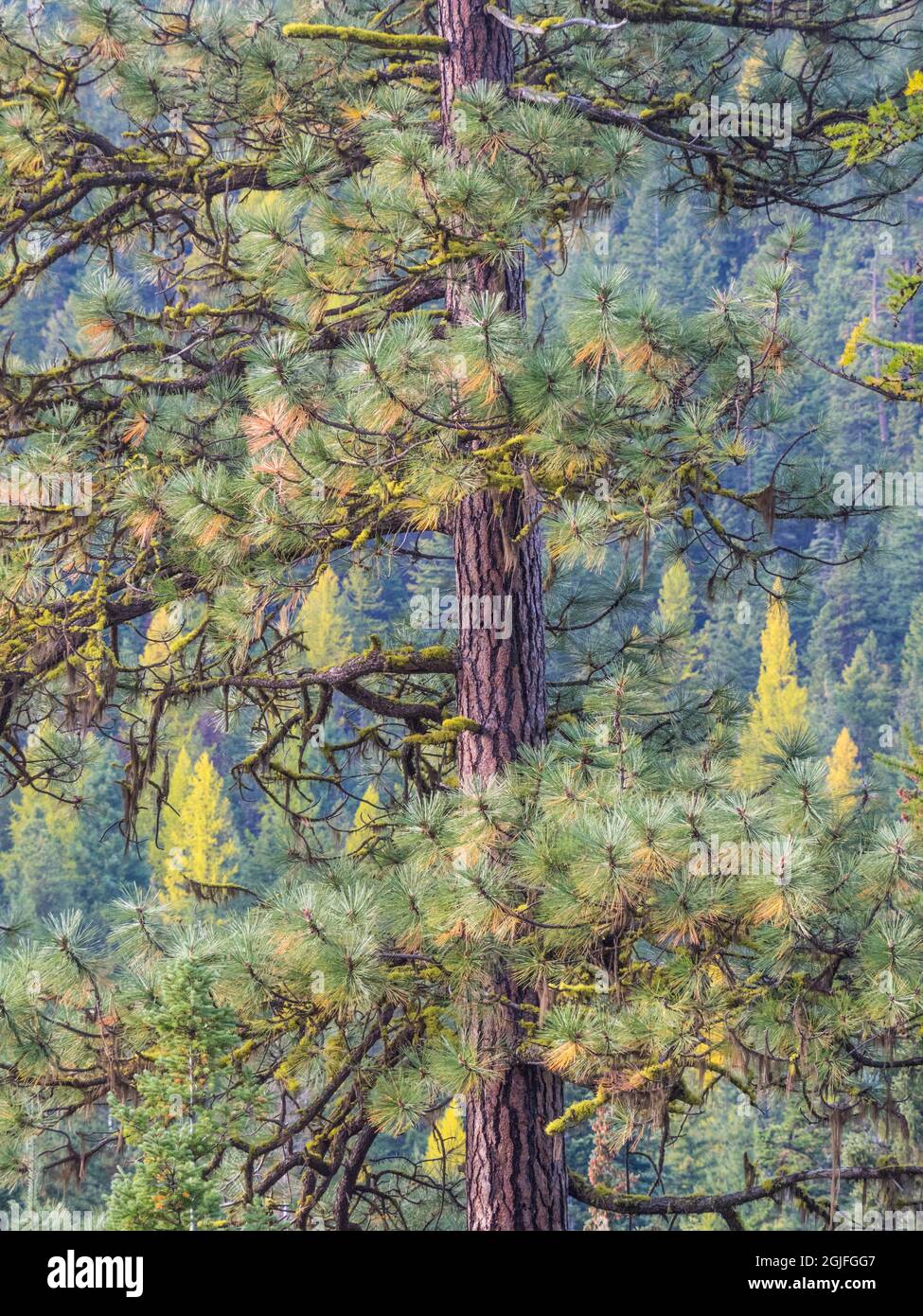 Blewett washington hi-res stock photography and images - Alamy