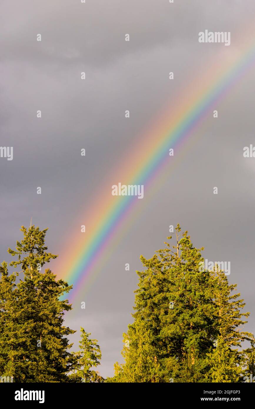 USA, Washington State, Puget Sound. Break in the storm, vibrant rainbow ...