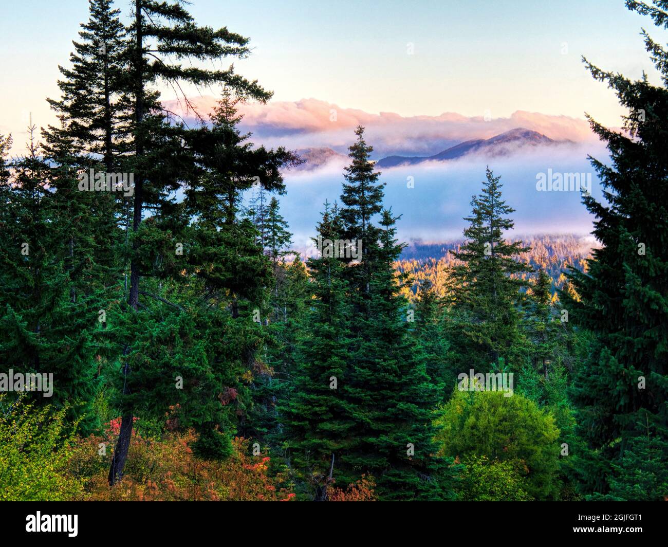 The stuart range hi-res stock photography and images - Alamy