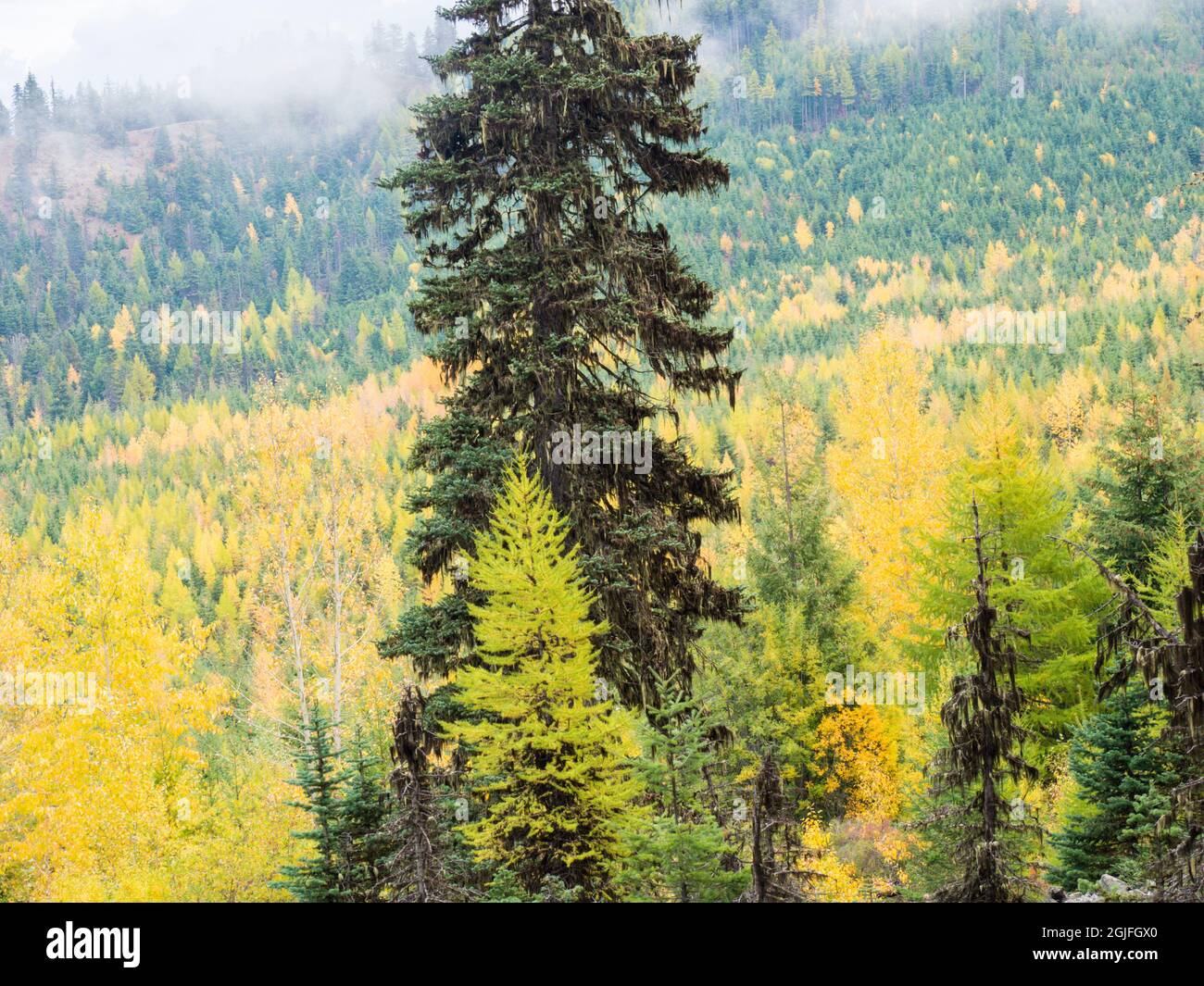 Usa washington state autumn hi-res stock photography and images - Alamy