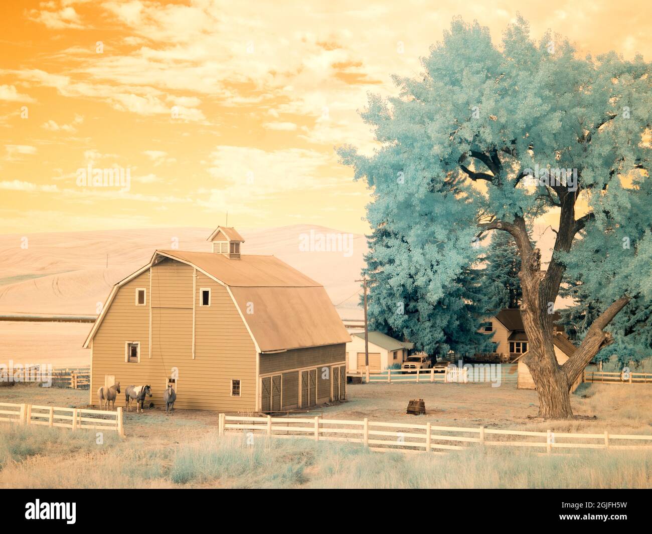 Usa washington state palouse old hi-res stock photography and images ...
