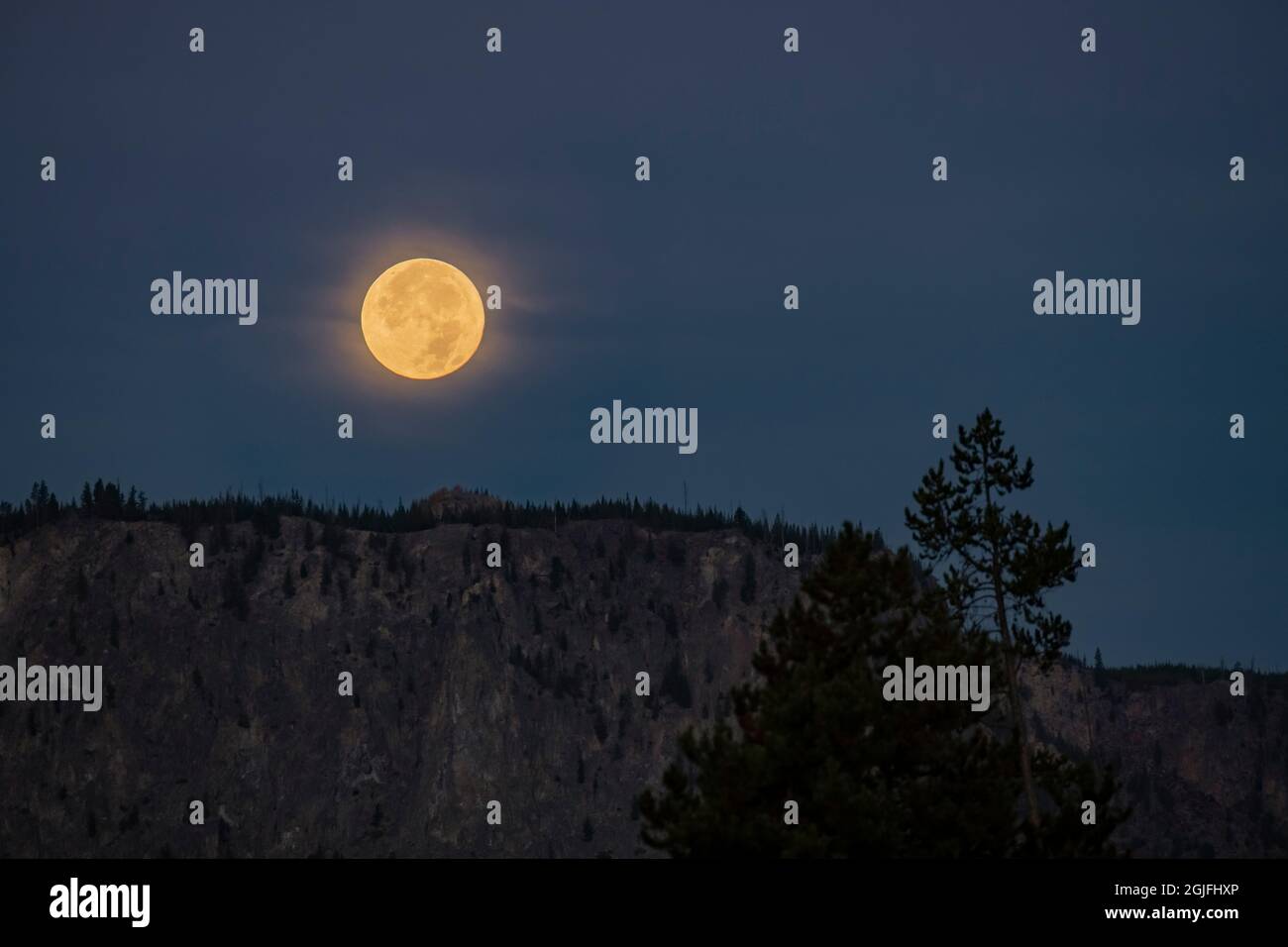 Full moon yellowstone national park hi-res stock photography and images ...
