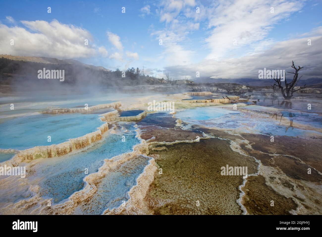 Blue pools on top of Canary Springs, Yellowstone National Park, Wyoming ...