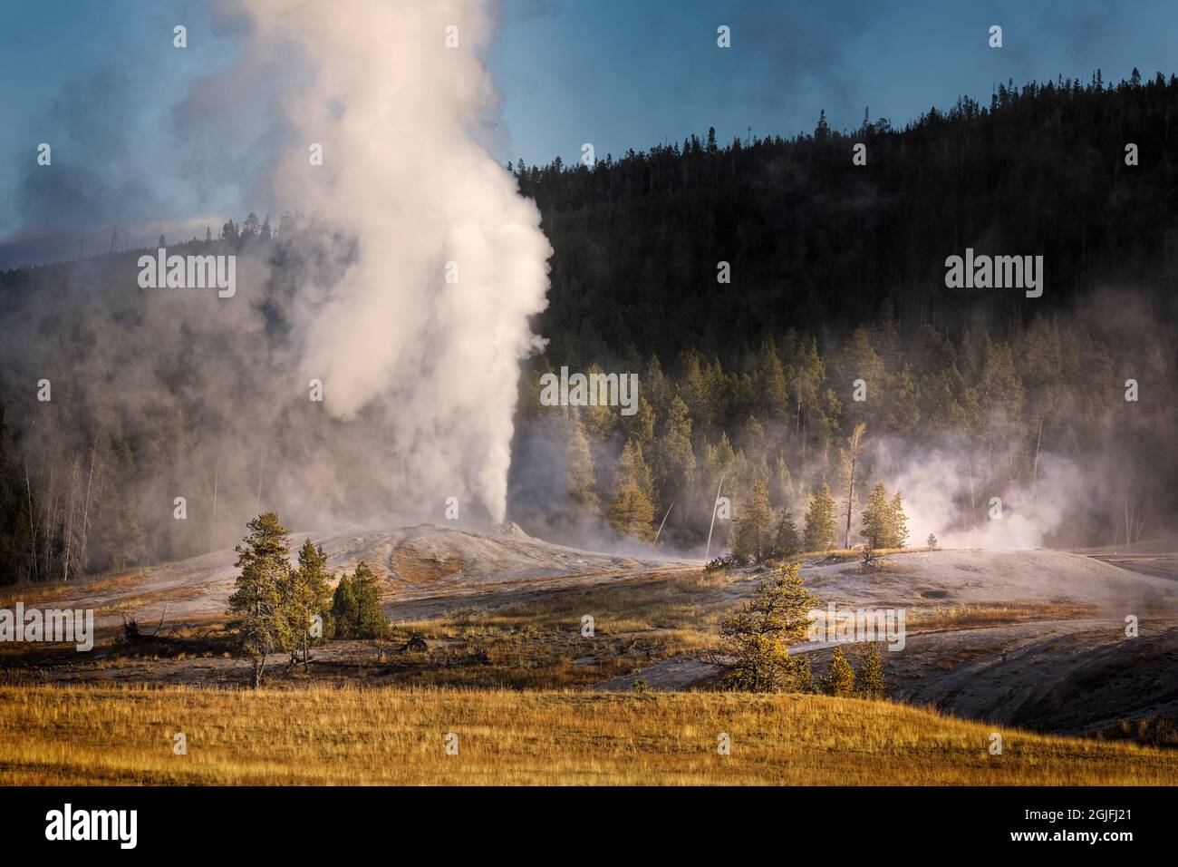 Steaming geyser at first light, Upper Geyser Basin, Yellowstone ...