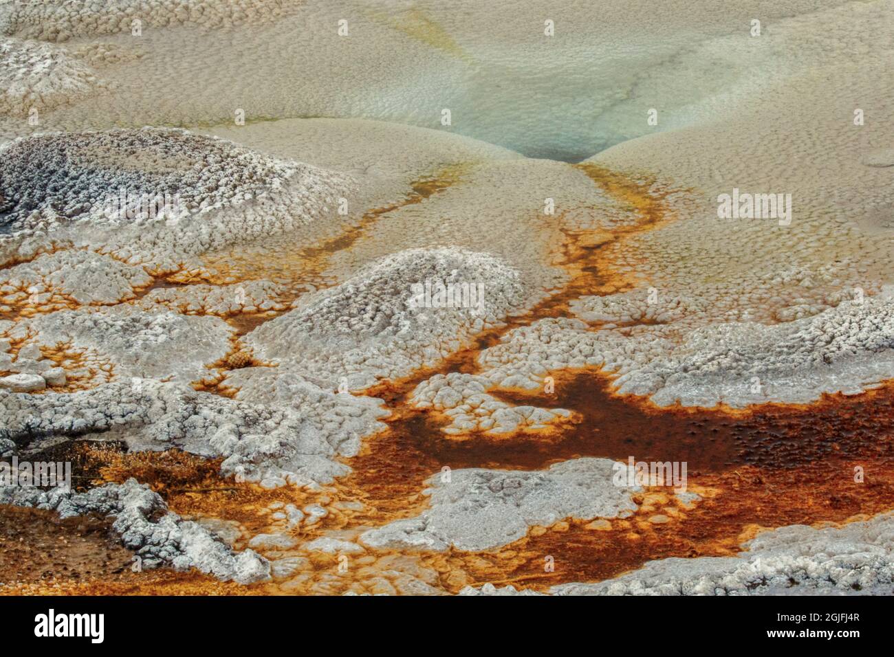 Colorful bacterial mat, Upper Geyser Basin, Yellowstone National Park ...