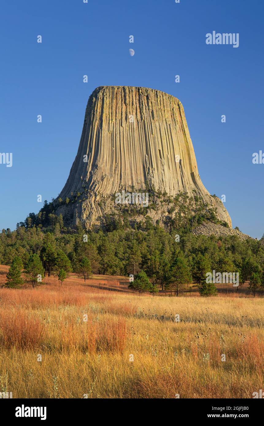 Moon over Devils Tower National Monument, Wyoming Stock Photo - Alamy