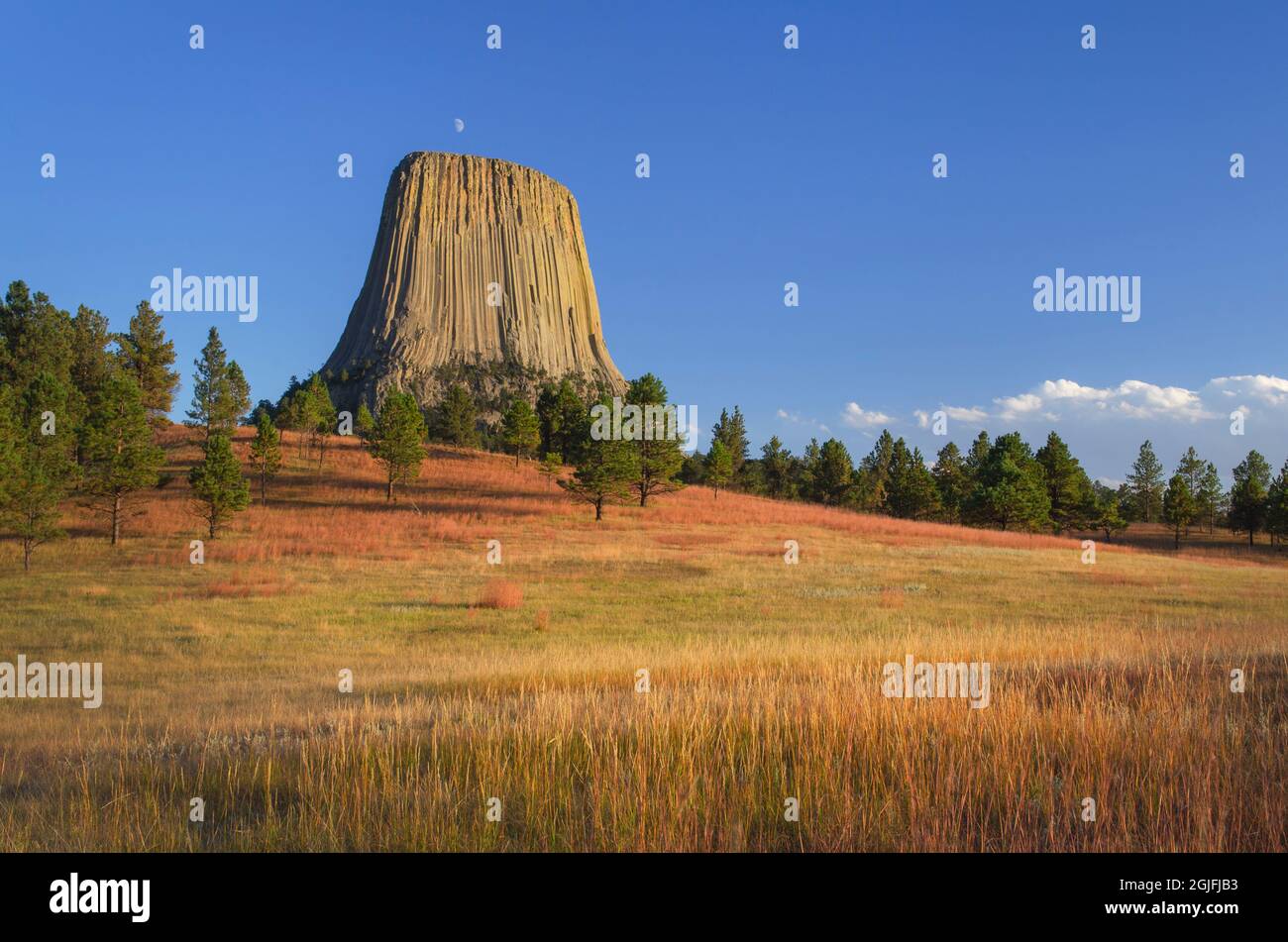 Moon over Devils Tower National Monument, Wyoming Stock Photo - Alamy