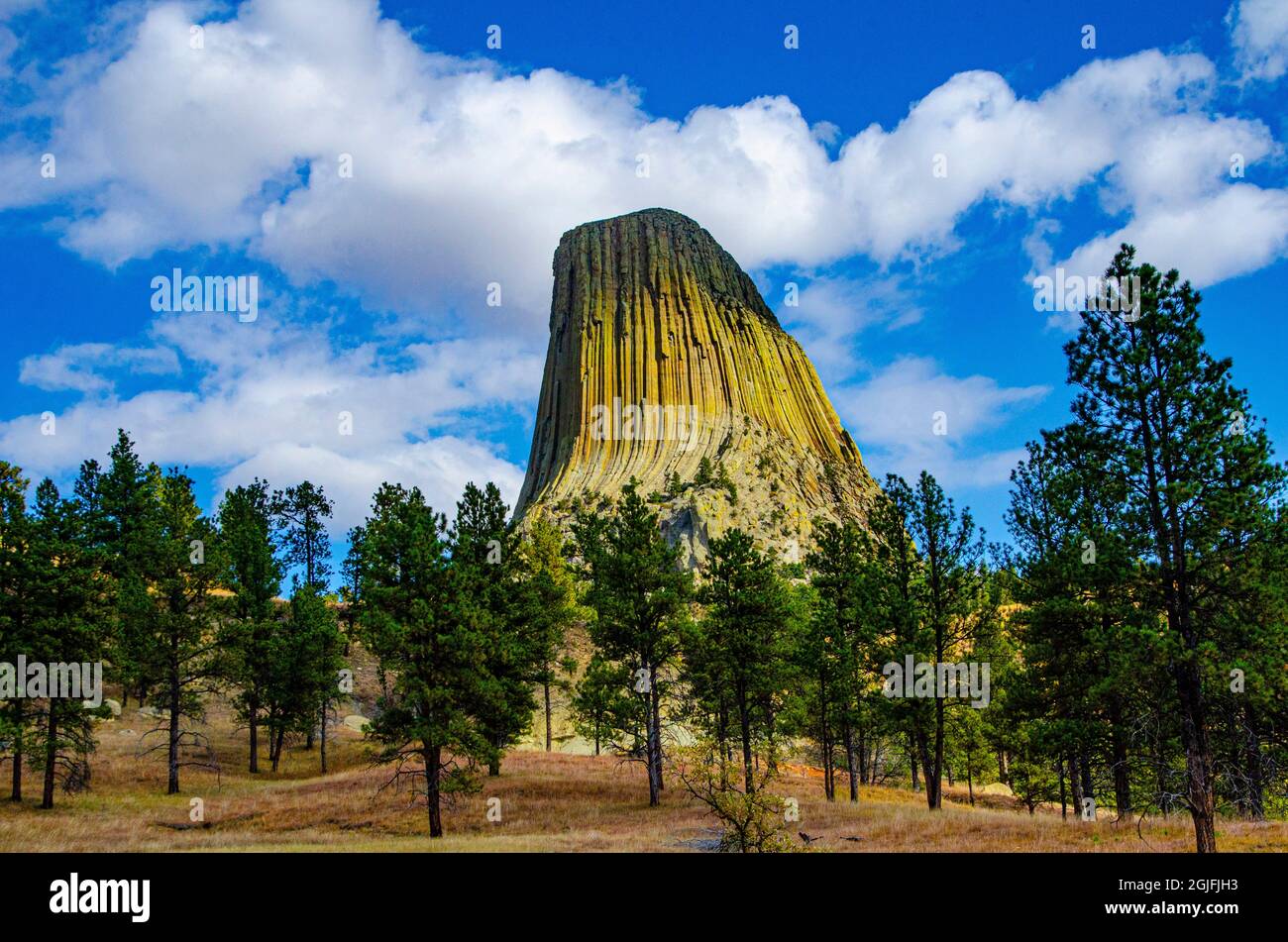 USA, Wyoming, Sundance, Devil's Tower National Monument, Devil's Tower ...