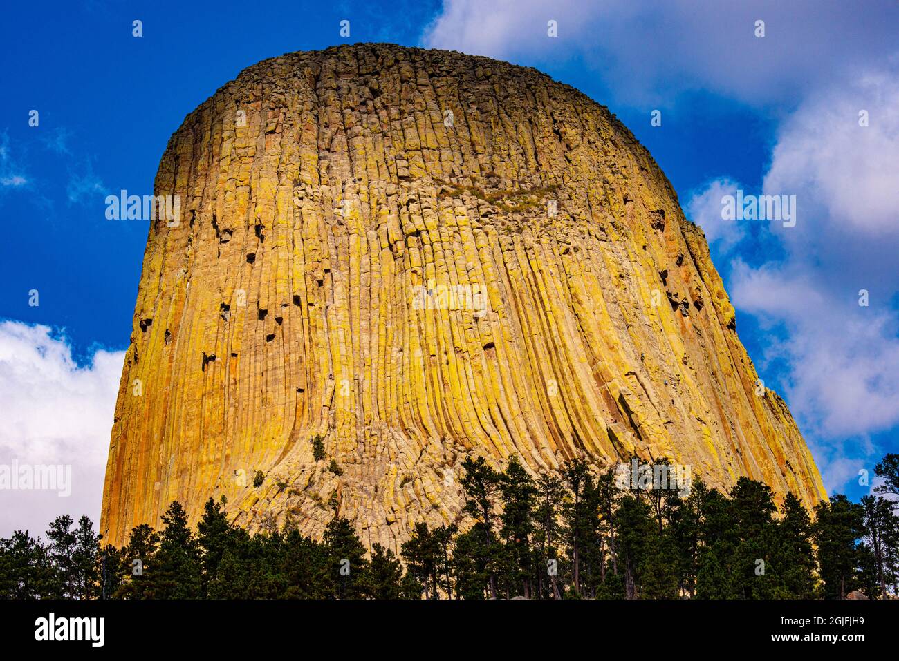 Devils tower close up hi-res stock photography and images - Alamy