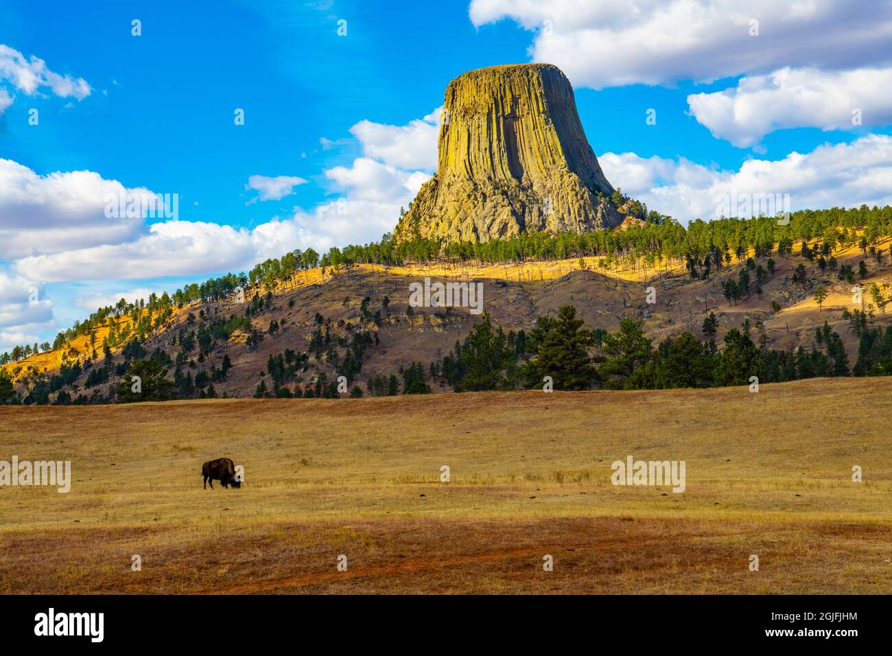 USA, Wyoming, Sundance, Devil's Tower National Monument, Devil's Tower ...