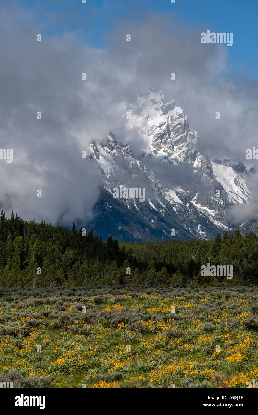 USA, Wyoming, Grand Teton National Park. A spring storm sends clouds ...