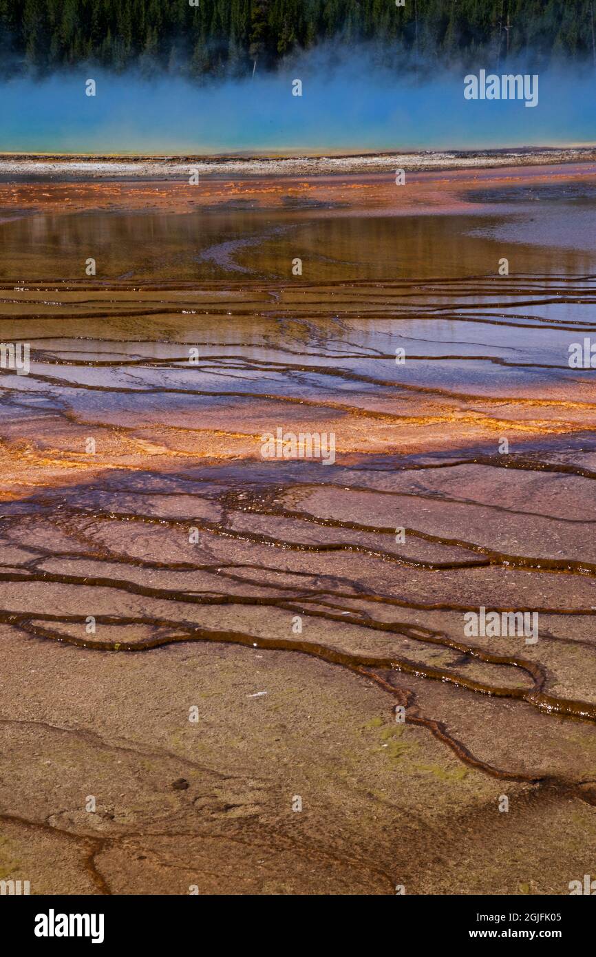 USA, Wyoming, Yellowstone National Park, Grand Prismatic Spring Stock ...