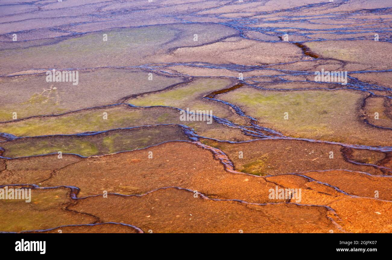 USA, Wyoming, Yellowstone National Park, Grand Prismatic Spring Stock ...