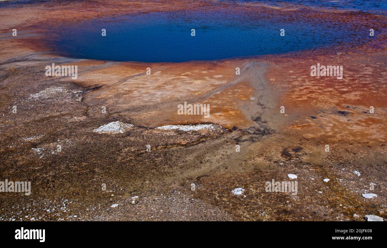 USA, Wyoming, Yellowstone National Park, Grand Prismatic Spring Stock ...
