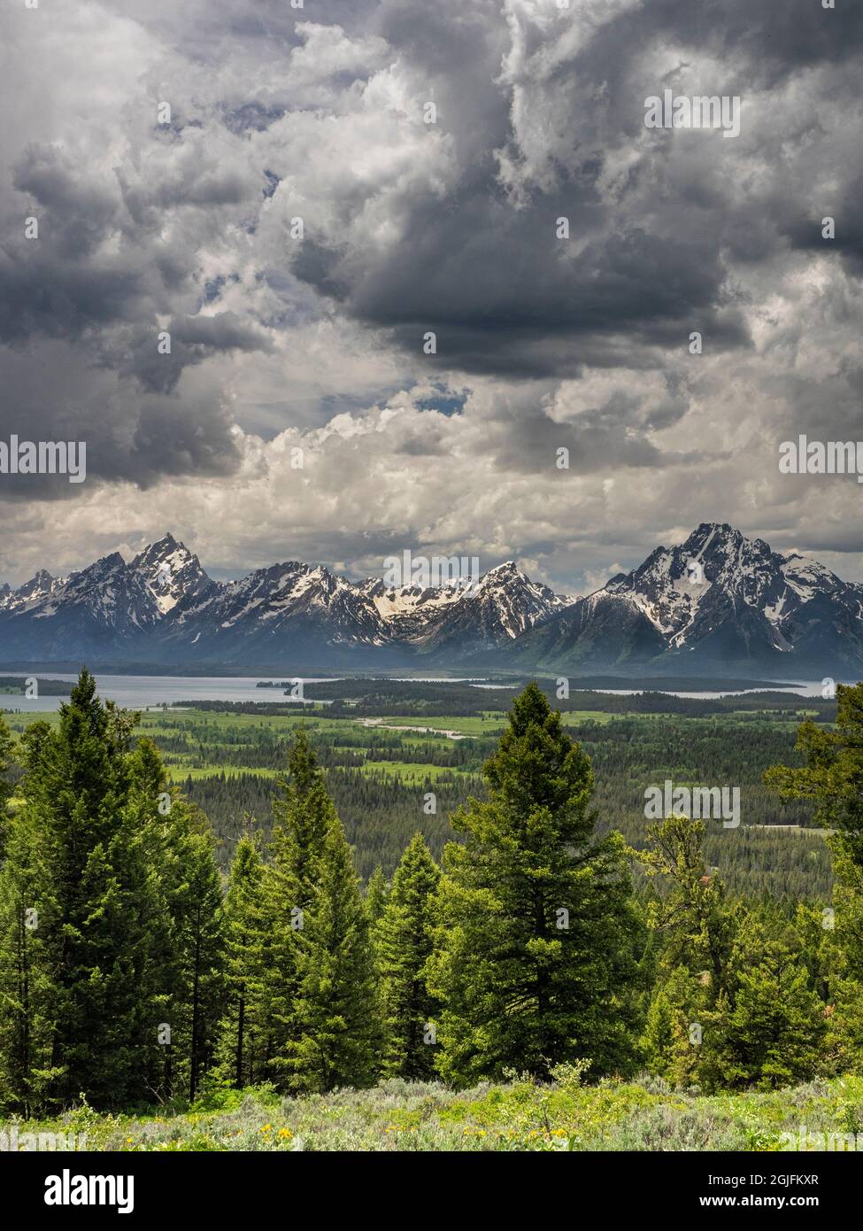 Evergreens, dramatic clouds and a grand view of Teton Mountains, Grand ...