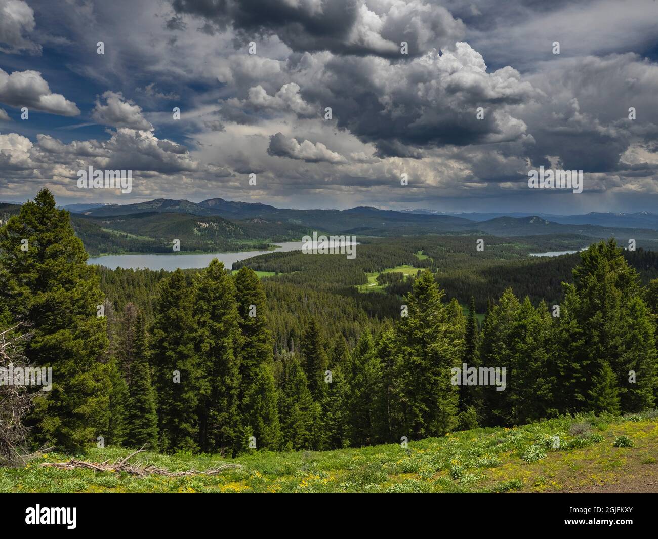 Grand Teton National Park, evergreens, clouds, and view of Emma Matilda ...