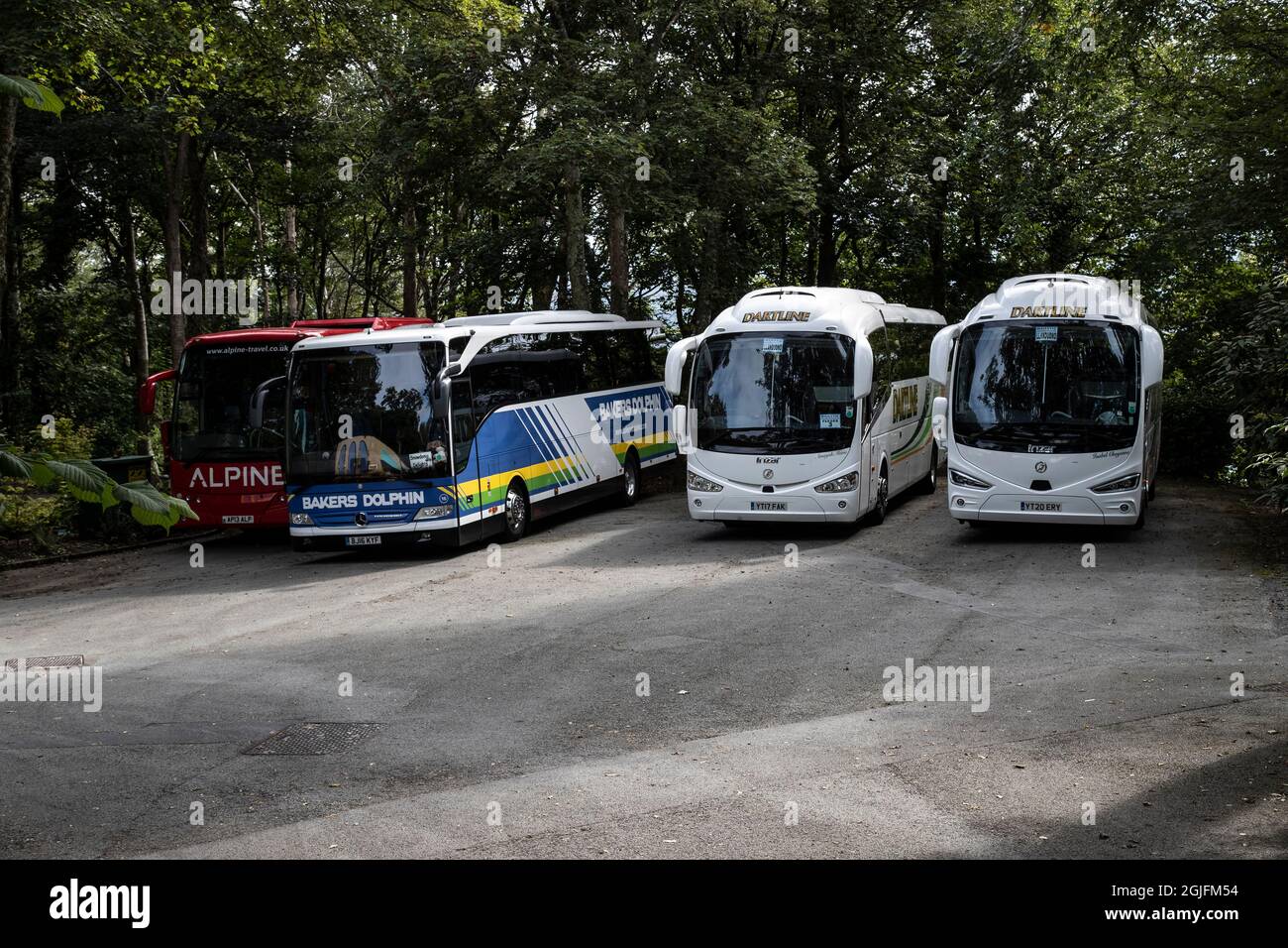 Four excursion luxury coaches parked in a woodland coach park at ...