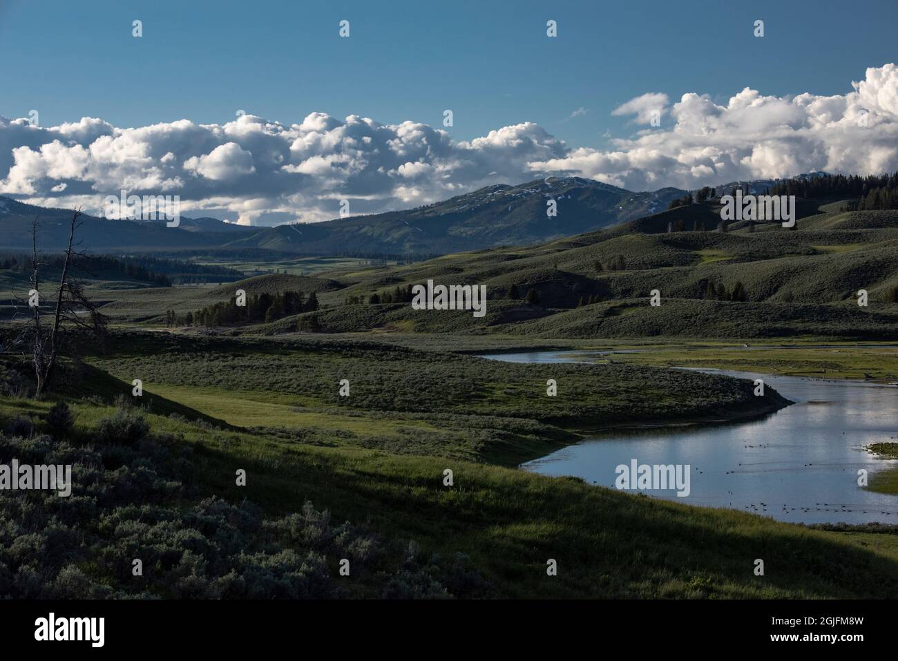 Hayden valley clouds yellowstone hi-res stock photography and images ...