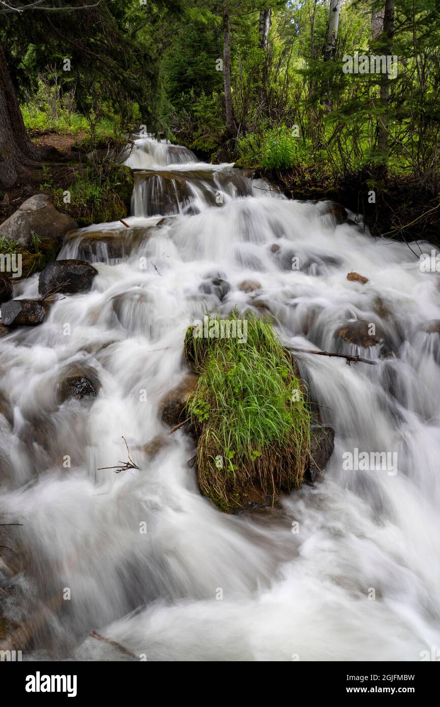 USA, Wyoming. Spring runoff, Grand Teton National Park Stock Photo - Alamy