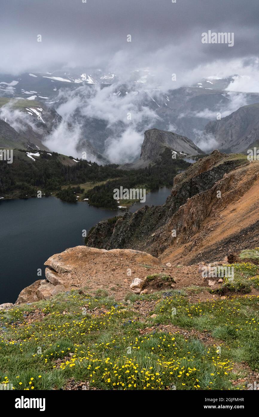 USA, Wyoming. Lake with clouds and wildflowers, Beartooth Pass Stock ...