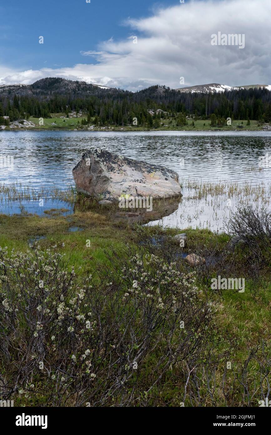 USA, Wyoming. Lake with clouds, boulder and wildflowers, Beartooth Pass ...