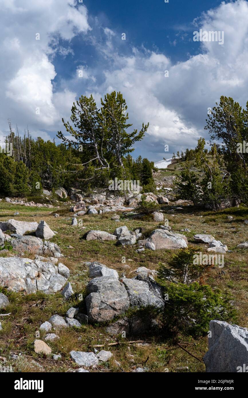 The alpine zone hi-res stock photography and images - Alamy