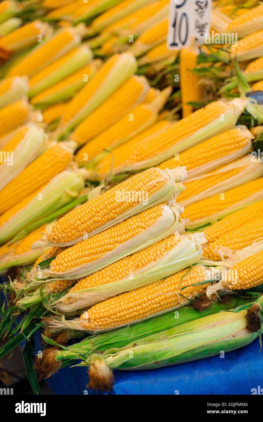 Corn sold in Turkish market. Counter with raw corn Stock Photo - Alamy
