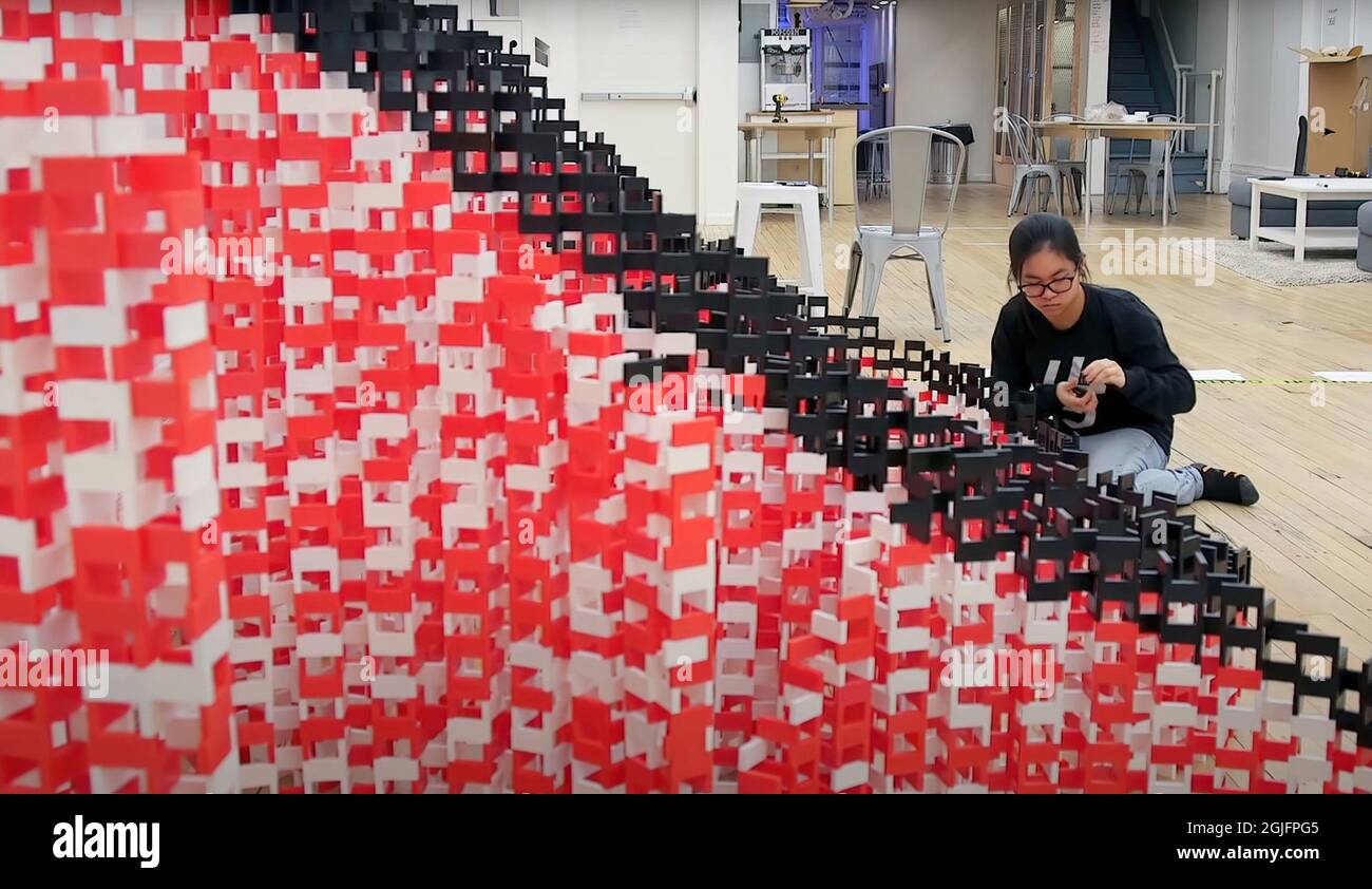 LILY TOPPLES THE WORLD, Lily Hevesh working on a domino artwork, 2021 ...
