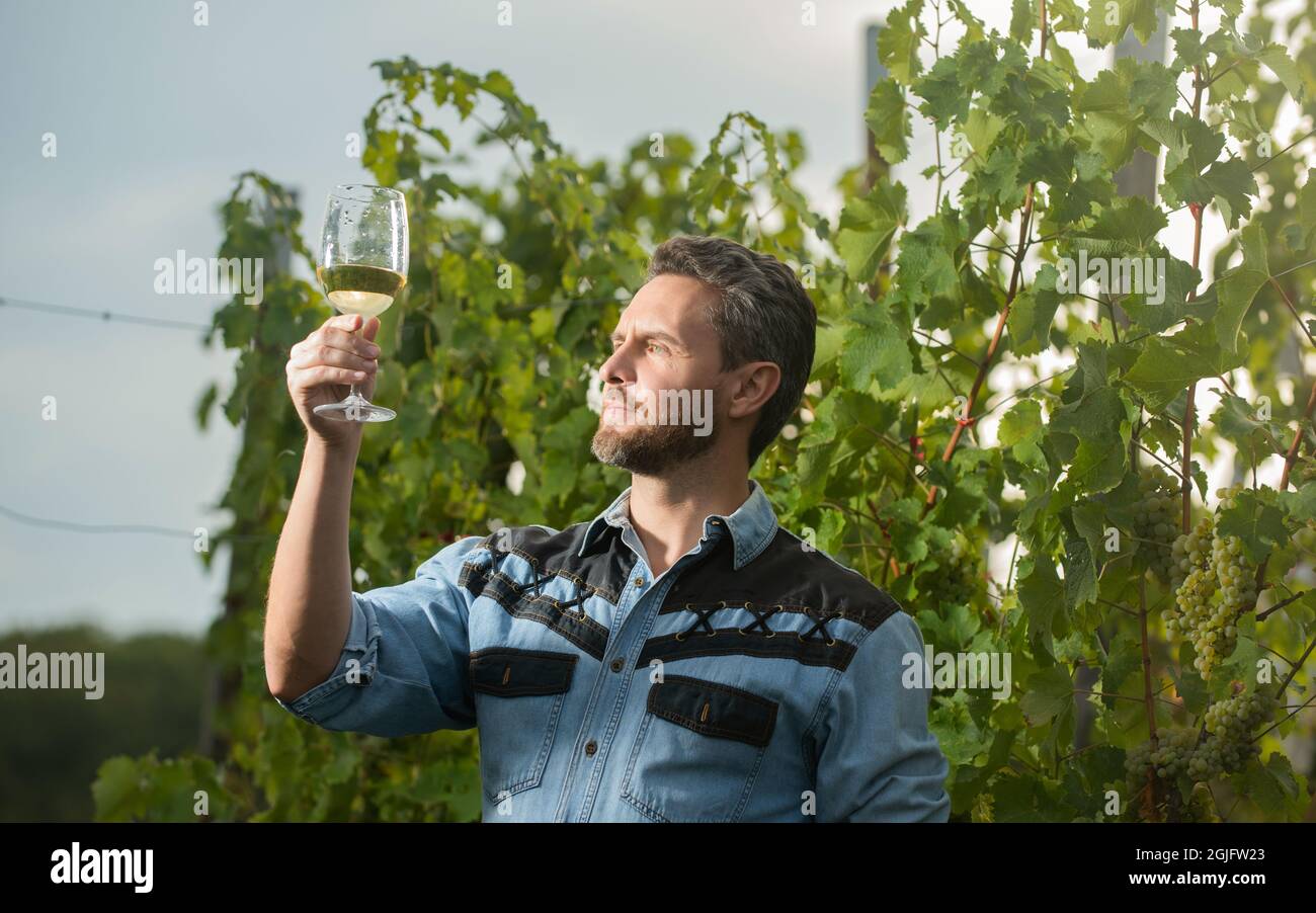 Enologist hi-res stock photography and images - Alamy