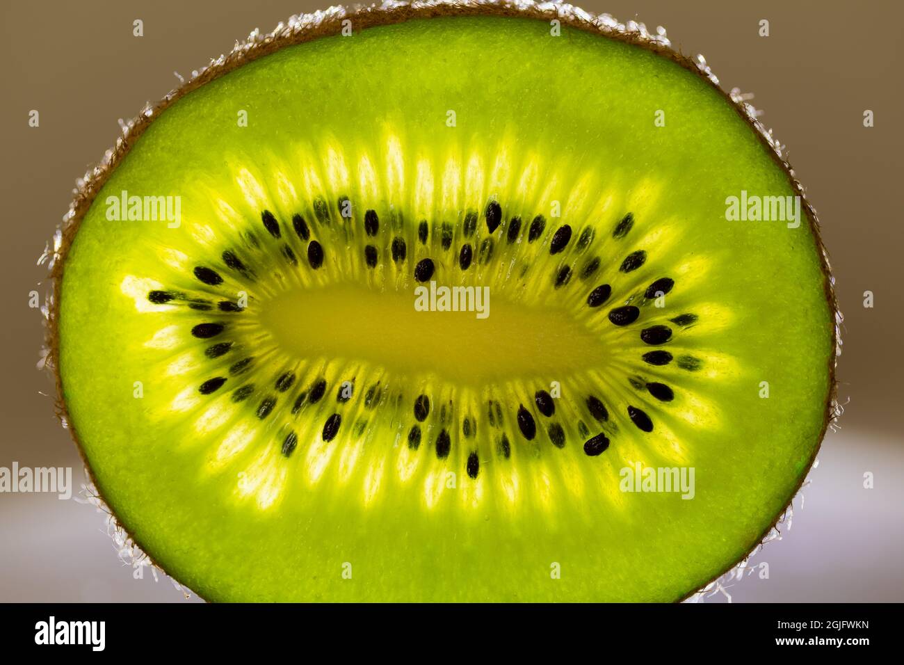 Orange cross section hi-res stock photography and images - Alamy