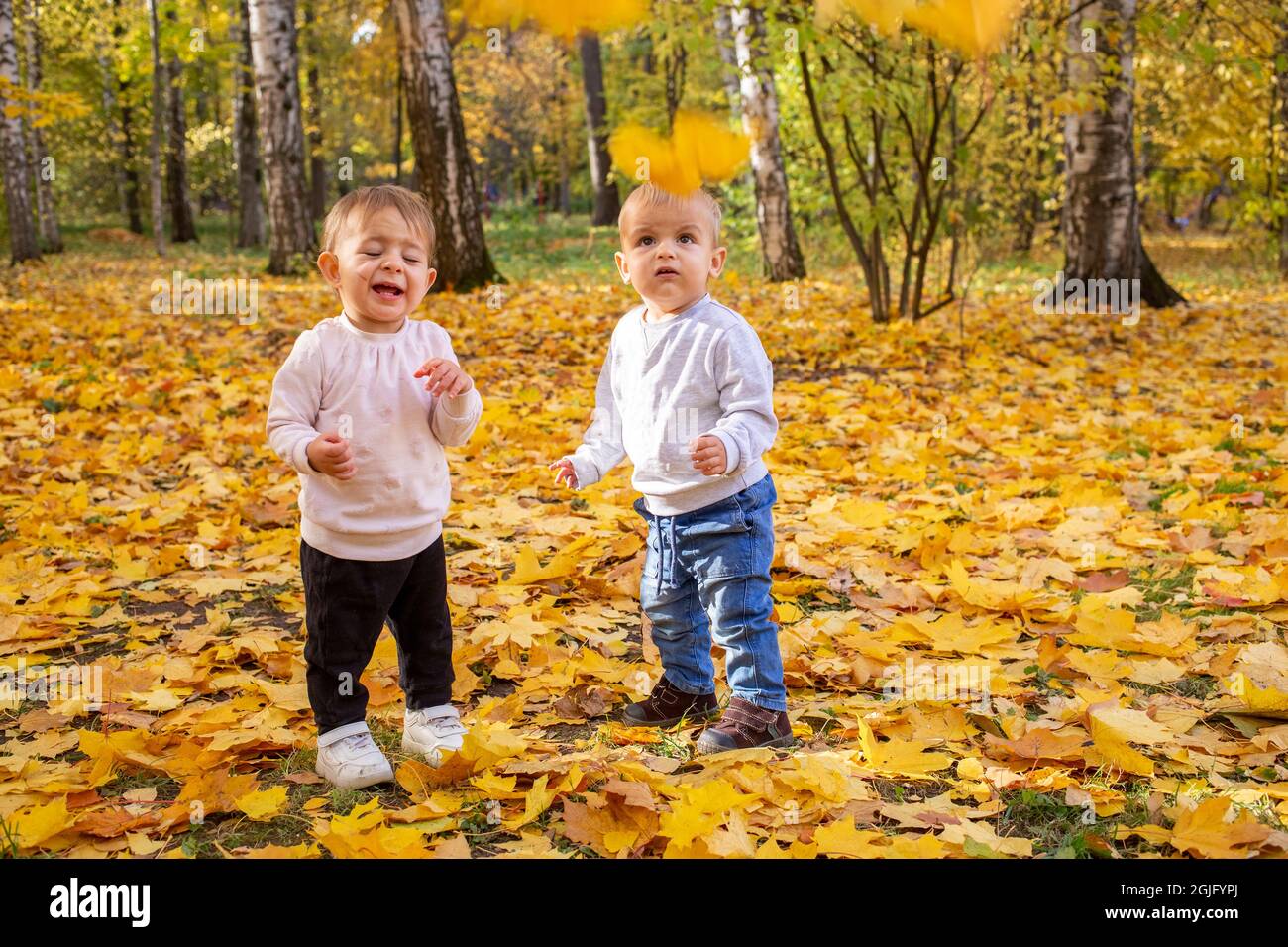 Autumn kid kids wood forest leaf fall hi-res stock photography and ...