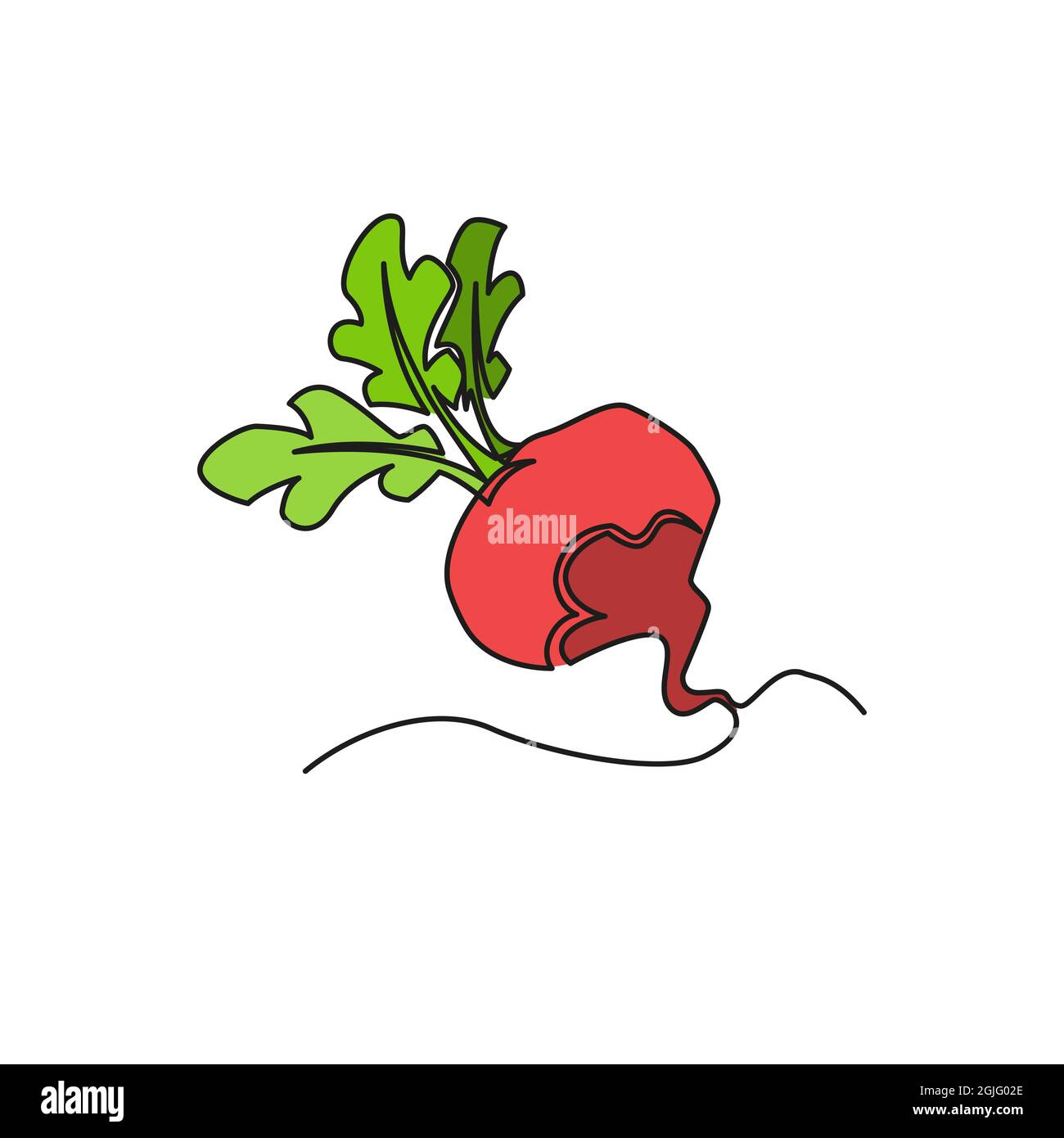 One continuous line drawing vegetables beet, isolated on white ...