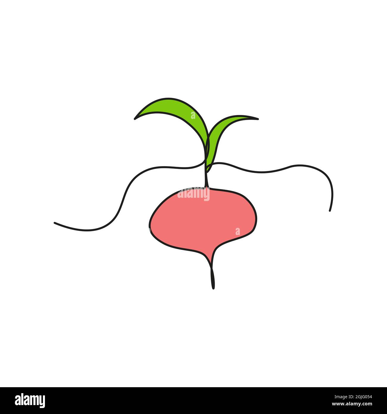 One continuous line drawing vegetables beet, isolated on white ...