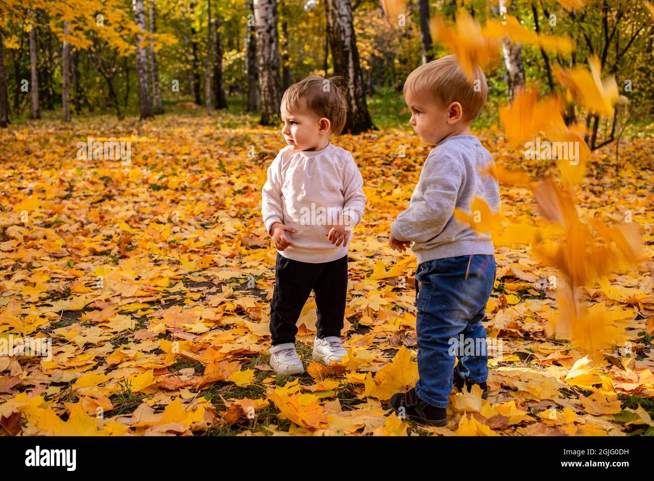 Autumn kid kids wood forest leaf fall hi-res stock photography and ...