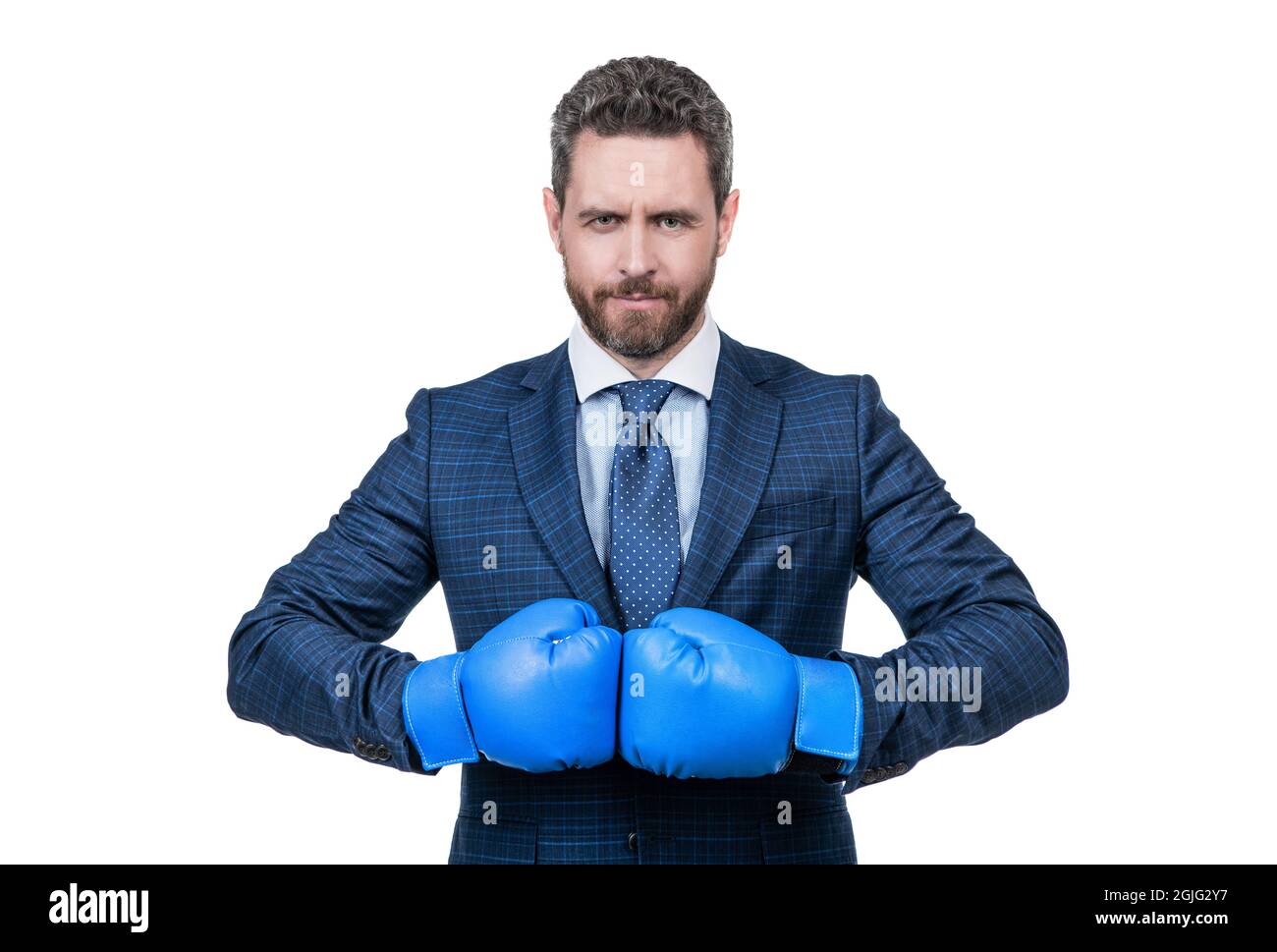 Ill knock you out. Serious boss wear boxing gloves. Boxing competition ...