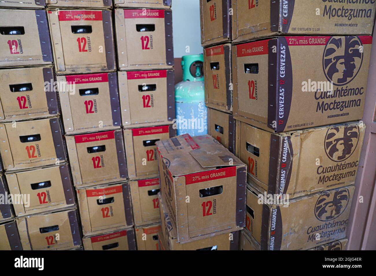 Loggerhead tecate, beer, cartons of loggerhead, Tecate beer. Cuauhtemoc ...