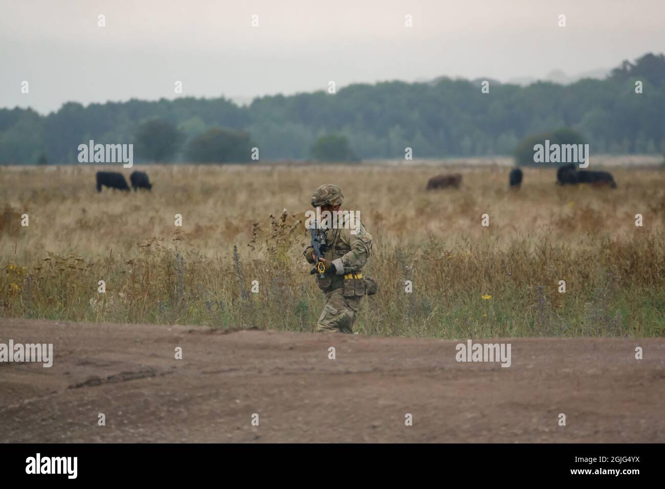british army soldier in action on a military exercise on Salisbury ...
