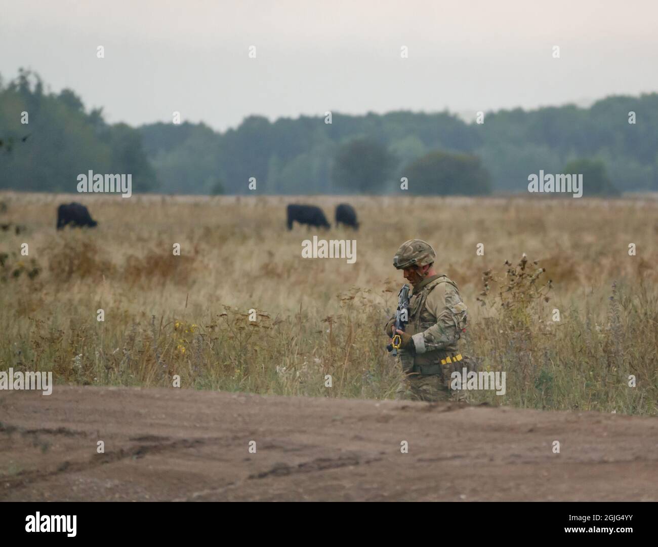 british army soldier in action on a military exercise on Salisbury ...