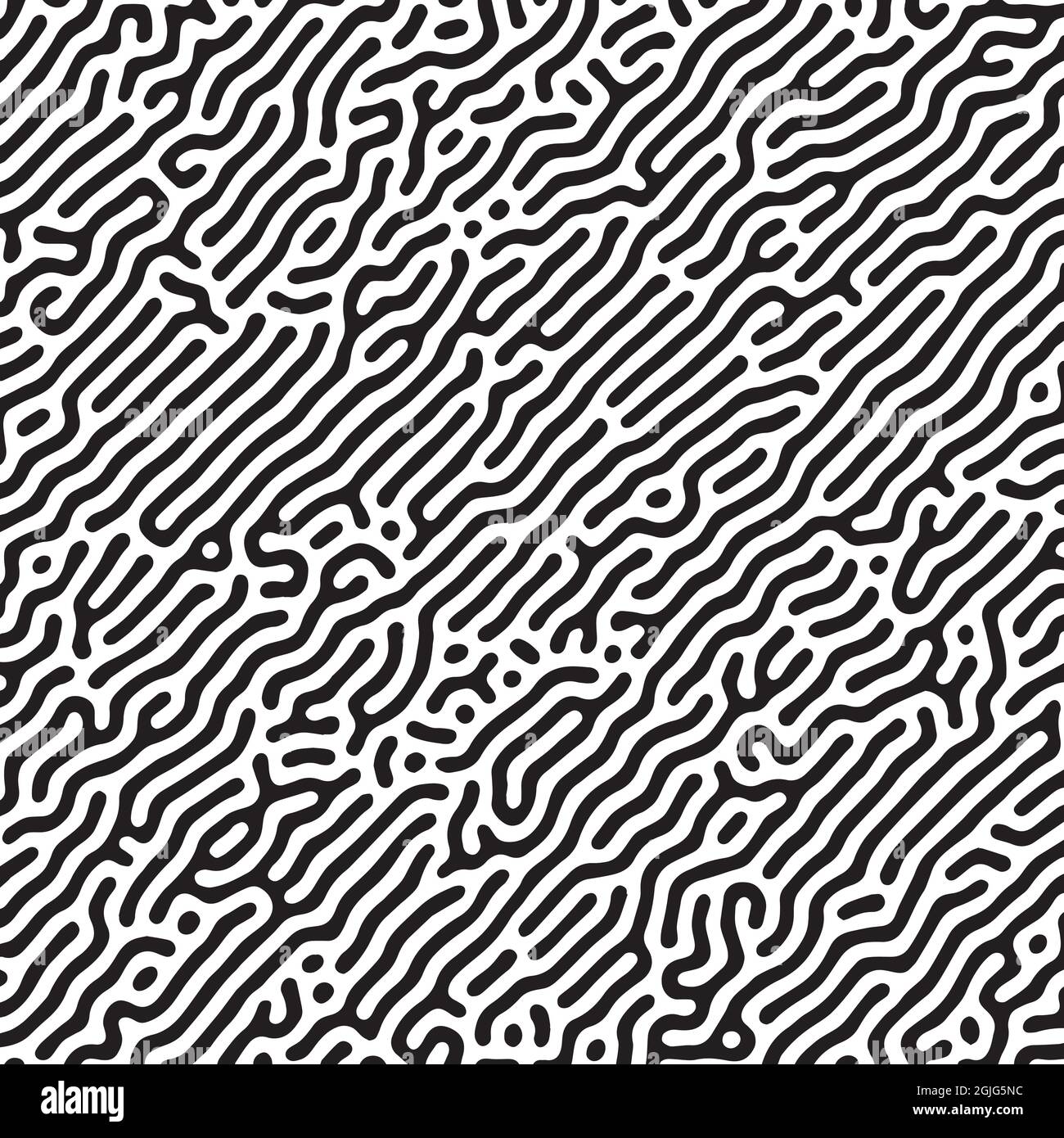 Vector Black And White Organic Rounded Lines Pattern Biology Turing