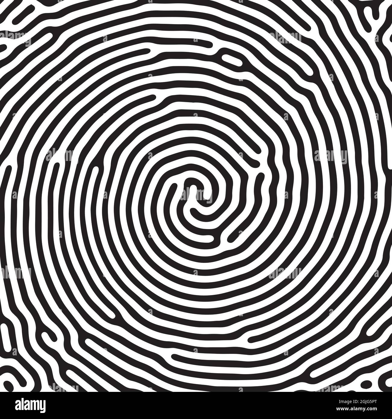 Vector black and white organic rounded lines pattern. Biology turing ...