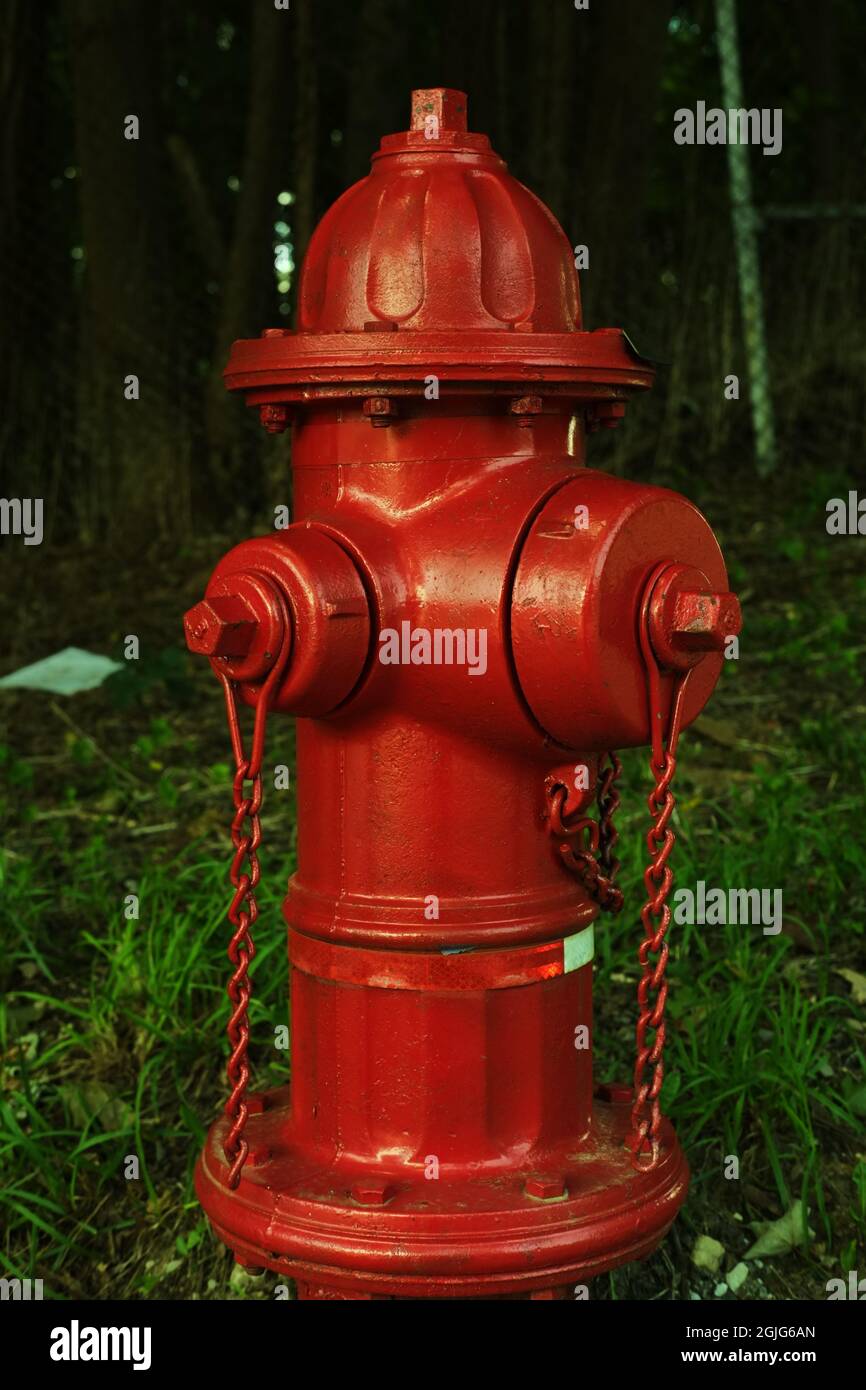 Red American fire hydrant for use by firefighters Stock Photo - Alamy
