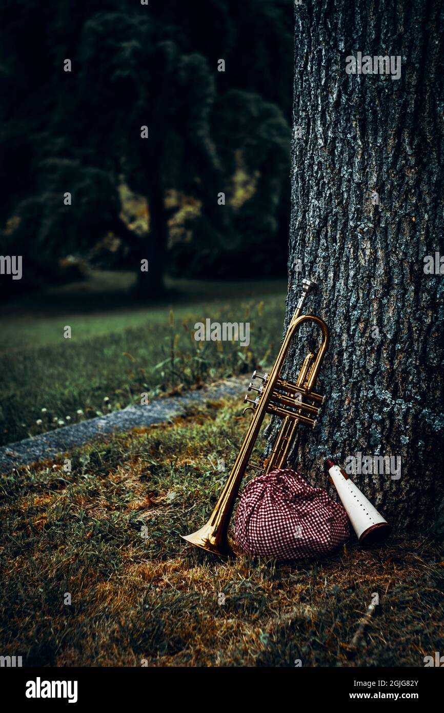 Traveling musicians trumpet and handkerchief picnic sack on a stick ...