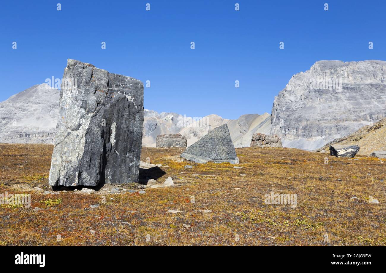 Giant Rock Stone Boulders Green Alpine Meadow Distant Rocky Mountain ...