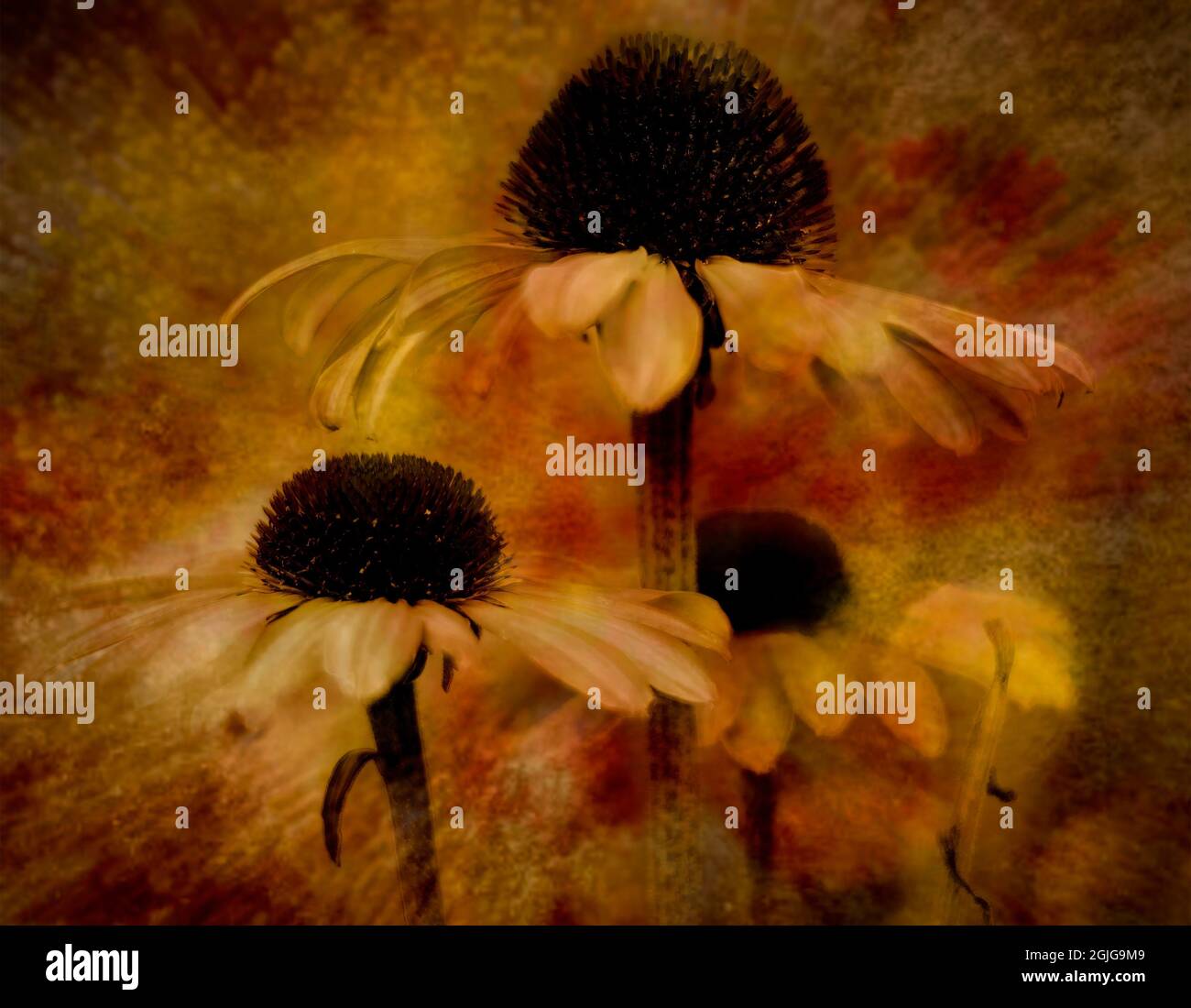 Flower art work Stock Photo - Alamy
