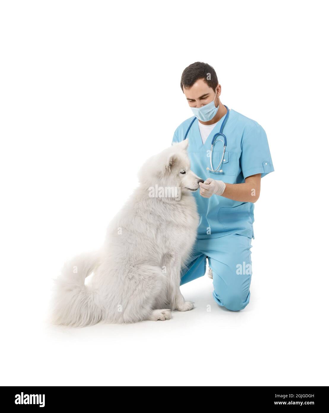 Cute Veterinarian Pictures
