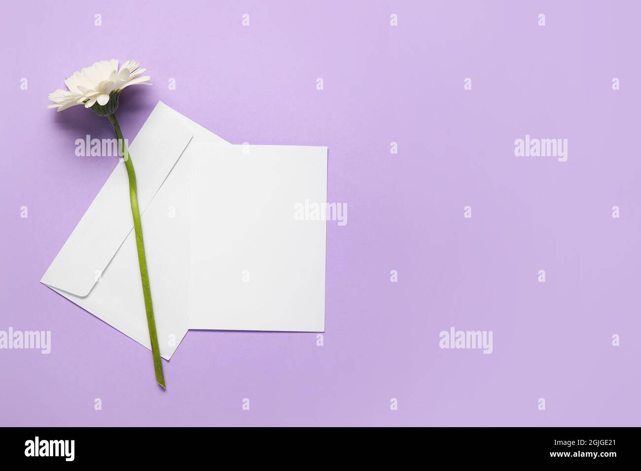 Envelope with blank card and flower on color background Stock Photo - Alamy