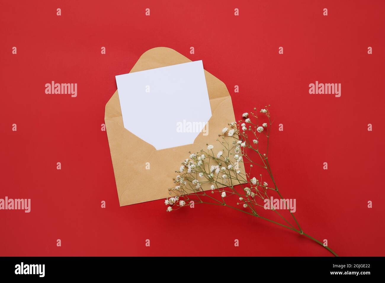 Envelope with blank card and flowers on color background Stock Photo ...